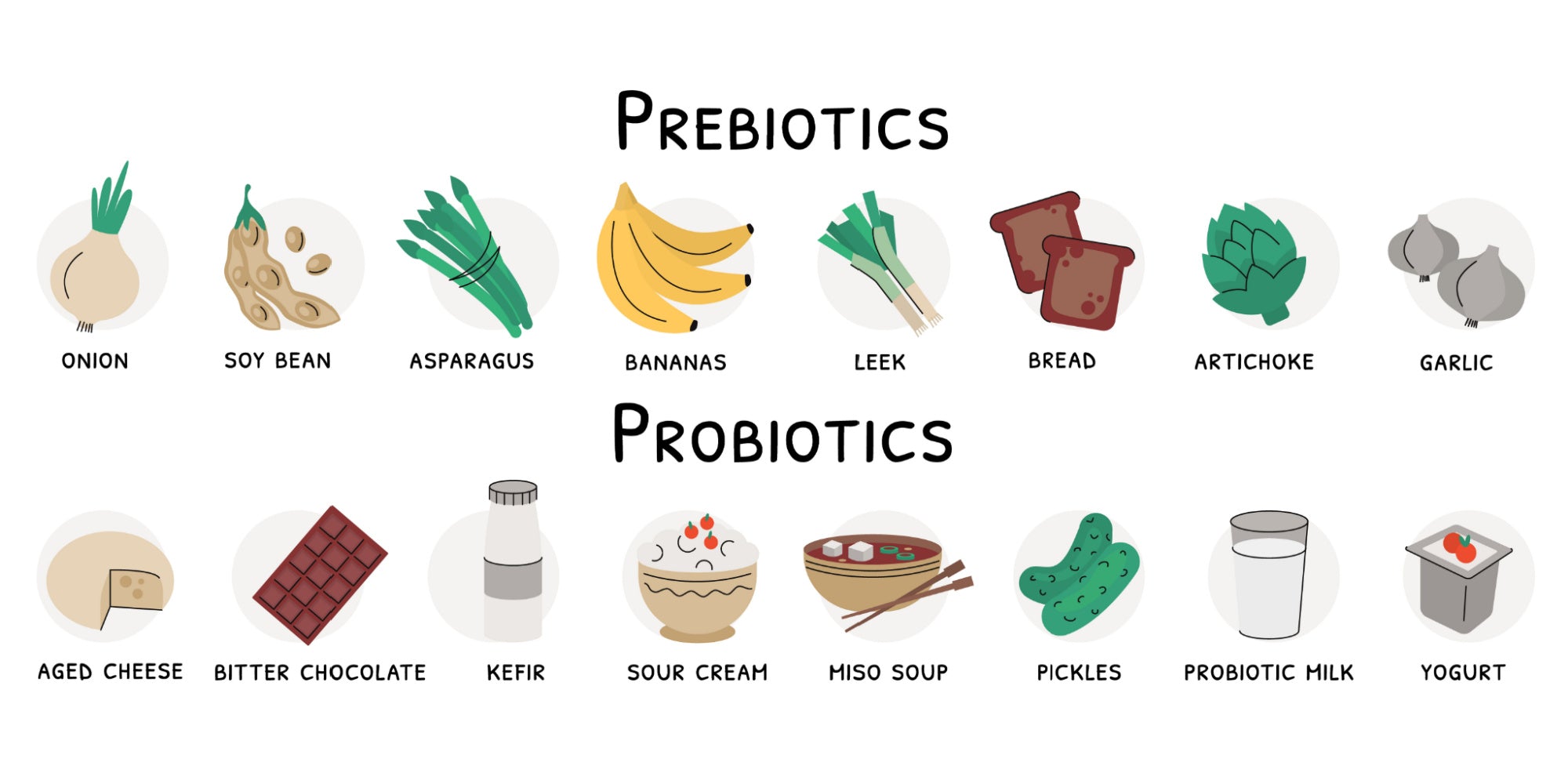 11 Plant-Based Prebiotic Foods That Create a Healthy Gut – Veestro