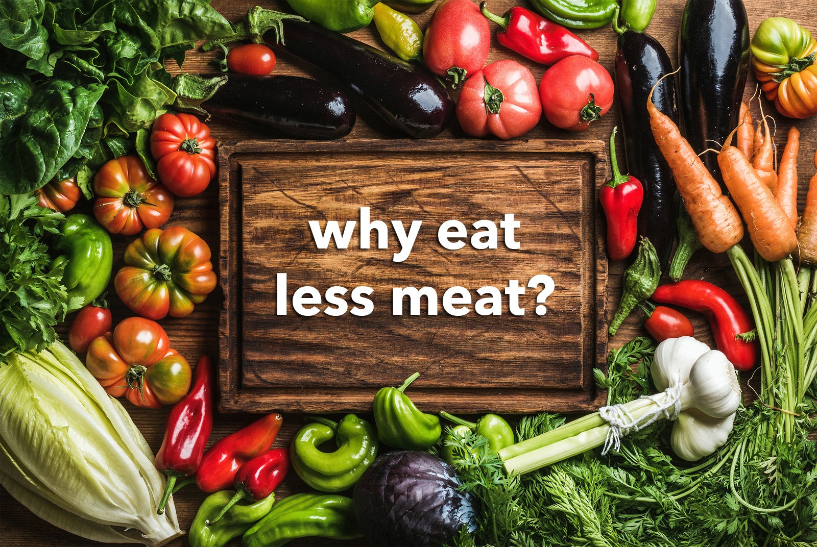 Why eating less meat is better for the environment – Veestro